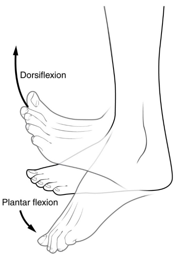 Runners Leg Pain Not Uncommon: Shin splints can be treated with these ...